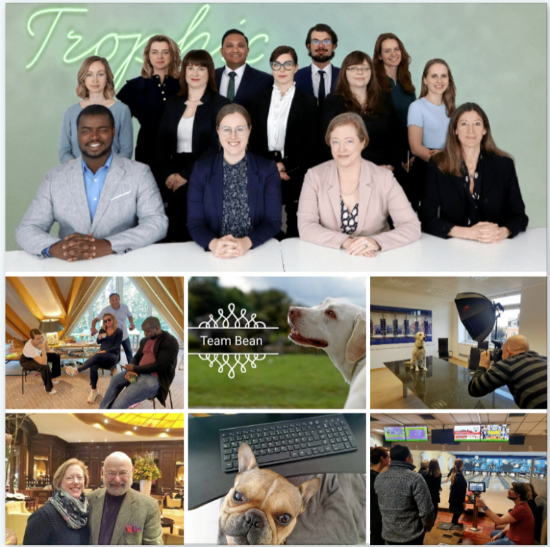 About Us – TROPHIC COMMUNICATIONS